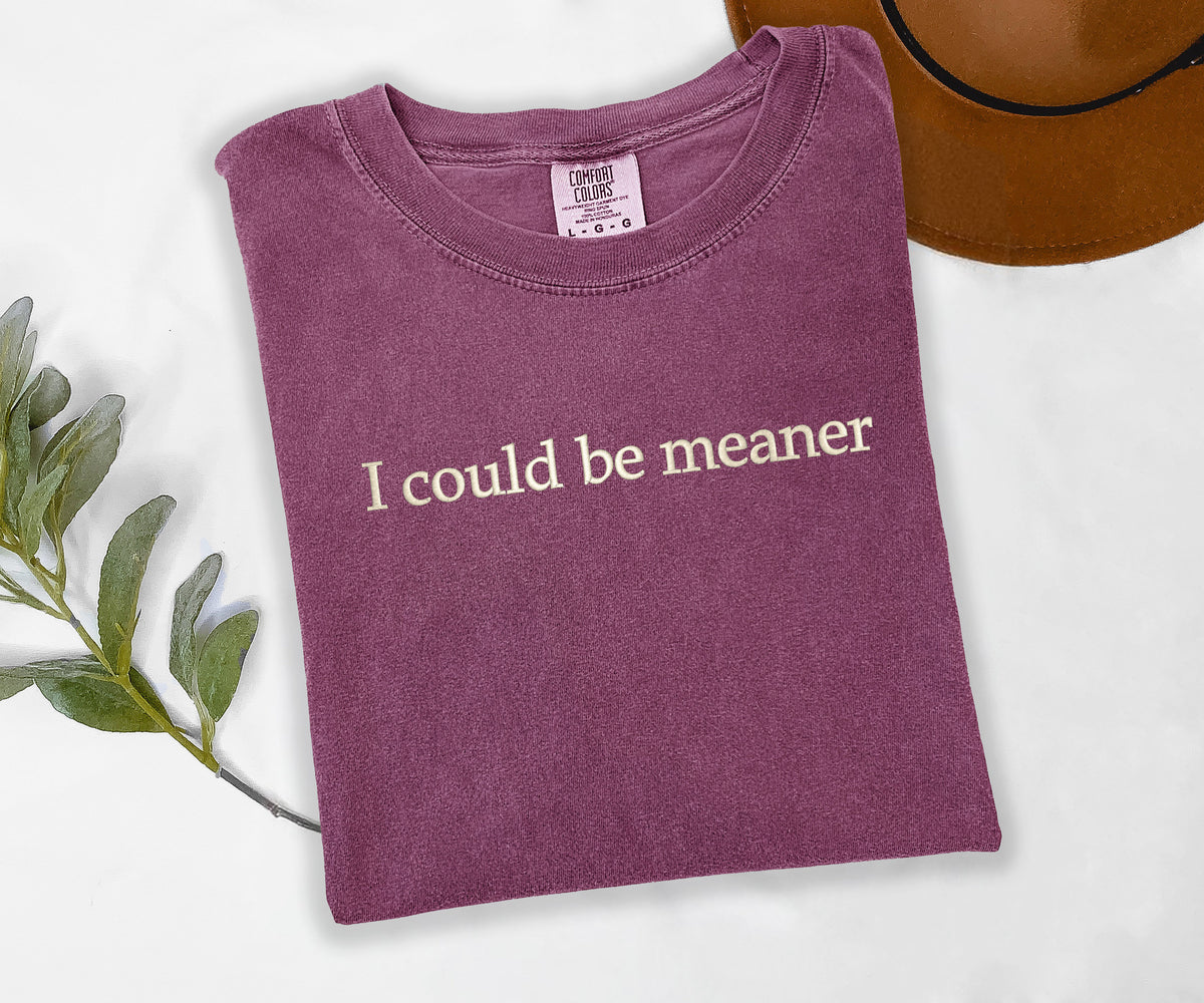 I Could Be Meaner Embroidered T-shirt – Peach Marketplace